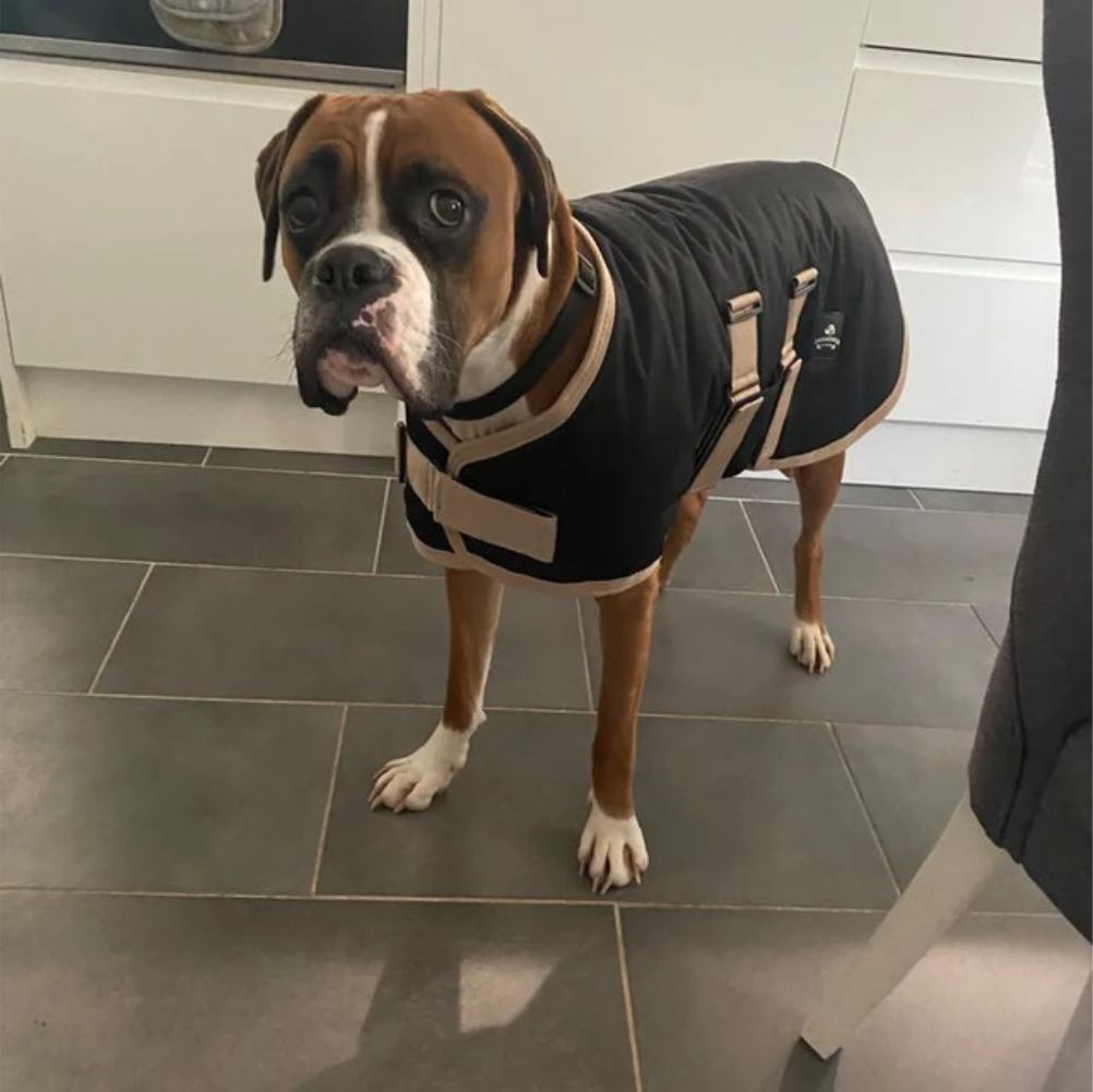 Home [danarmorpetsupplies.com]